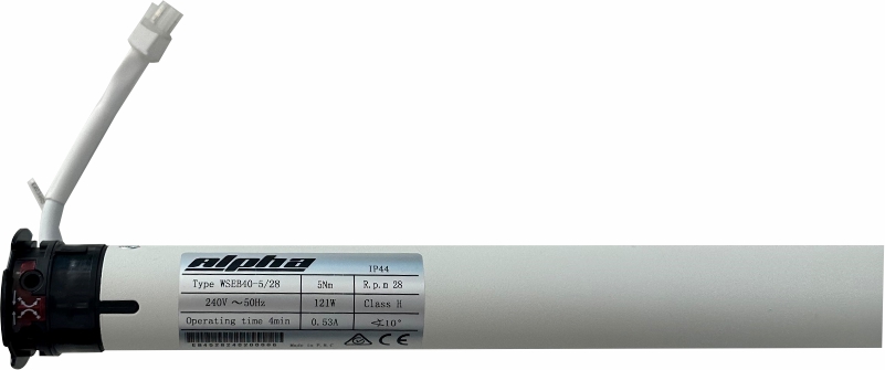 WSEB40 5/28 - Alpha Motors - Alpha Motors